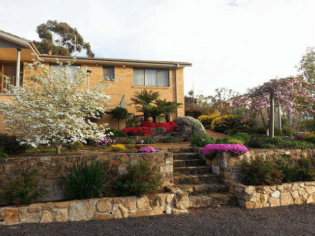Residential | Dan and Dan Landscaping